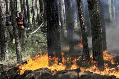 Incendios Forestales En Rusia
