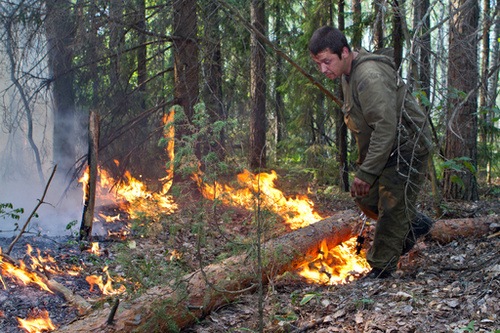 Incendios Forestales En Rusia