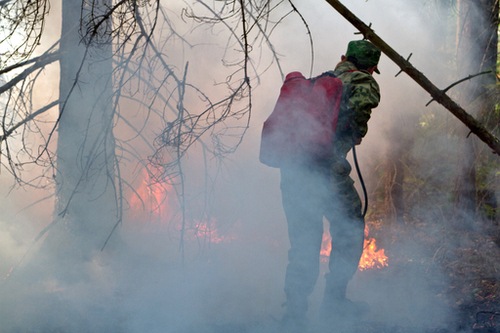 Incendios Forestales En Rusia