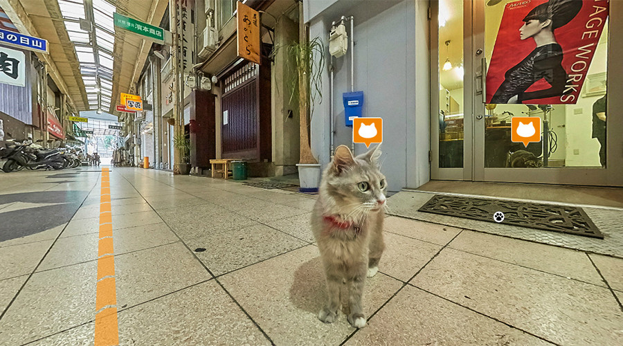 Cat Street View map gives new purr-spective to Japanese town — RT World ...