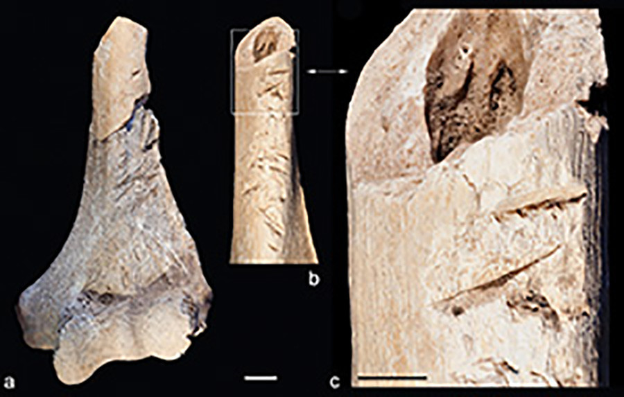 Mutilated 6,000yo skeletons show Neolithic people maybe not as peaceful ...