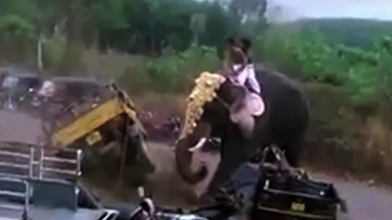 Trunk road rage: Angry elephant goes on epic rampage (VIDEO) — RT Viral
