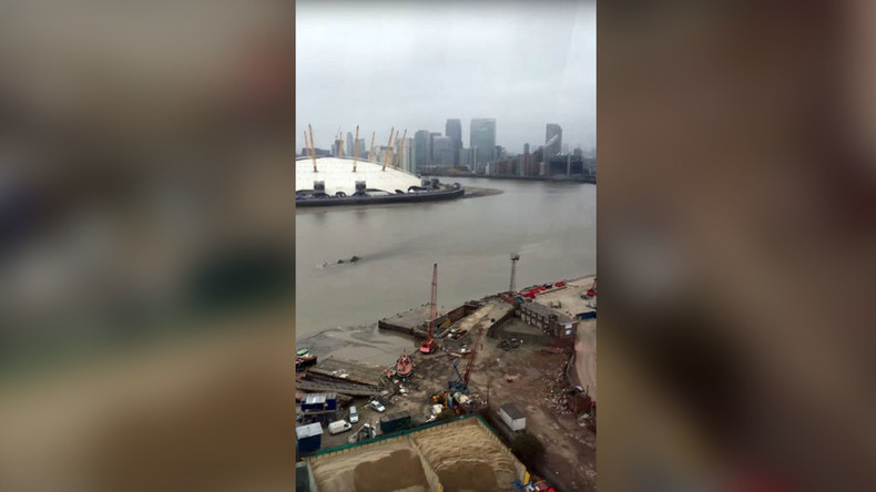 Thames Monster? ‘Nessie’ speculation rife as mysterious creature ...