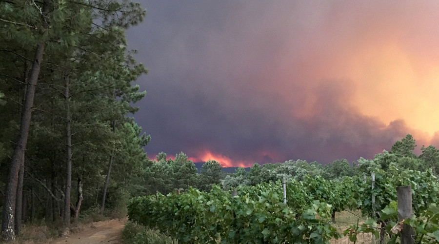 ‘Biggest tragedy in years’: At least 62 killed, 59 injured in Portugal ...