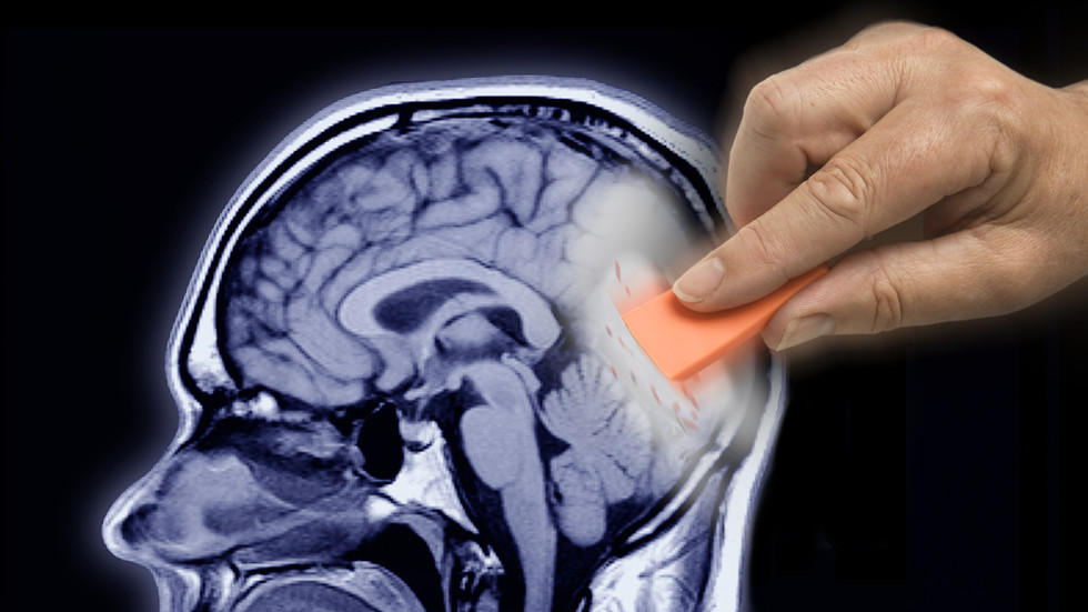 Eternal sobriety of the drug-free mind? New research suggests ‘erasing ...