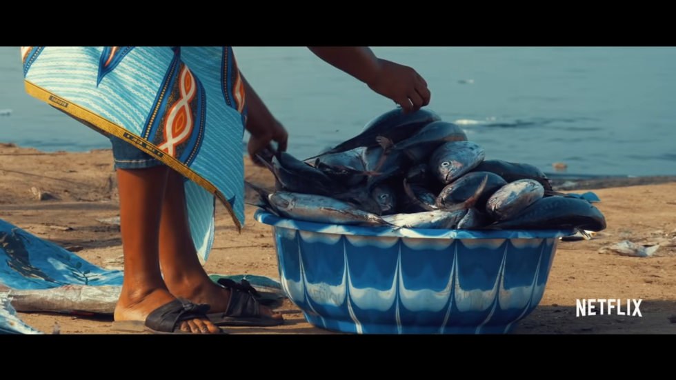 Seaspiracy? Netflix’s new anti-fishing film that’s being lauded by ...