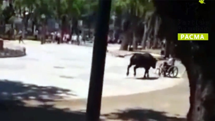 Mad, bad & dangerous: Bull escapes arena in Spain, injures 11 (VIDEO ...