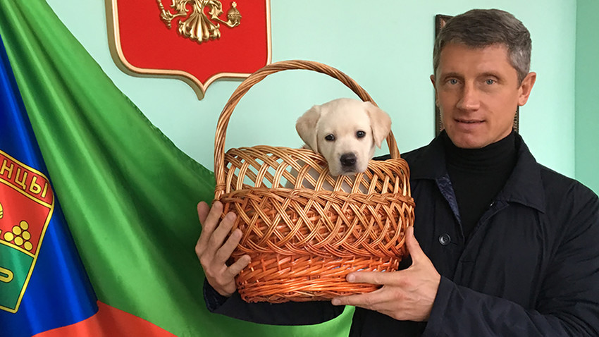 Putin verschenkt Labrador-Welpen – an einfaches russisches Schulmädchen ...