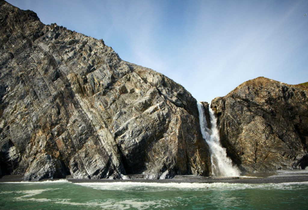 Bienvenido a la isla de Wrangel, el territorio del oso polar (Fotos ...