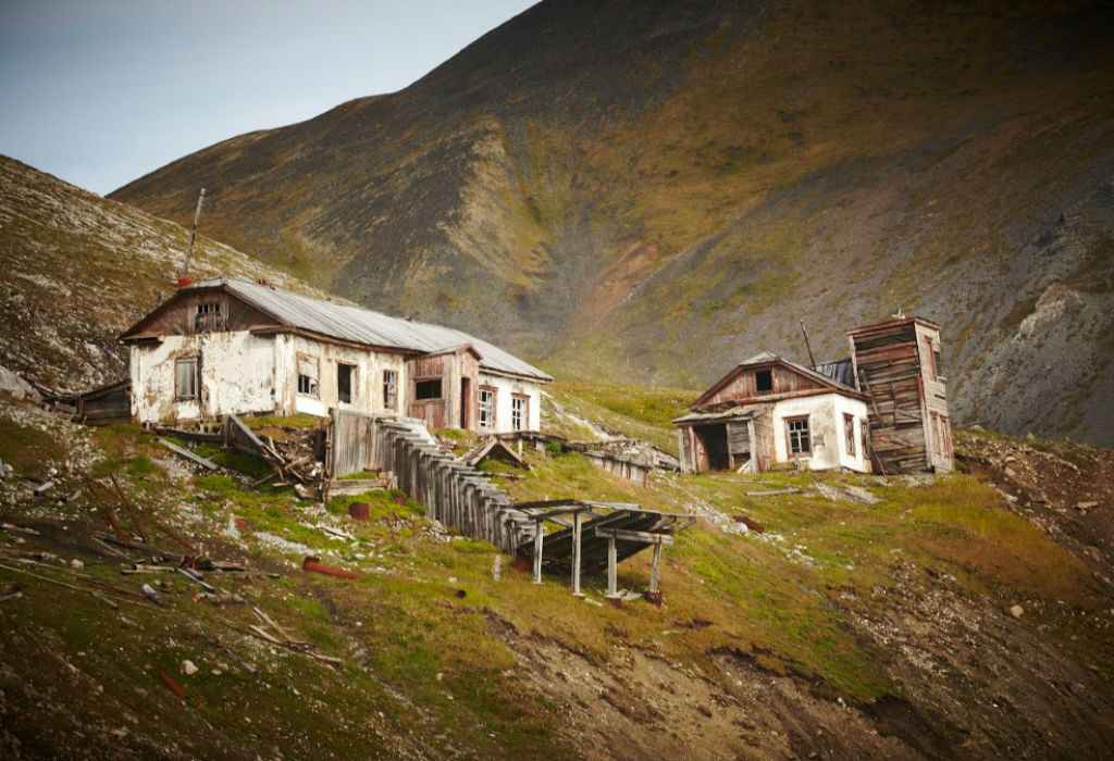 Bienvenido a la isla de Wrangel, el territorio del oso polar (Fotos ...