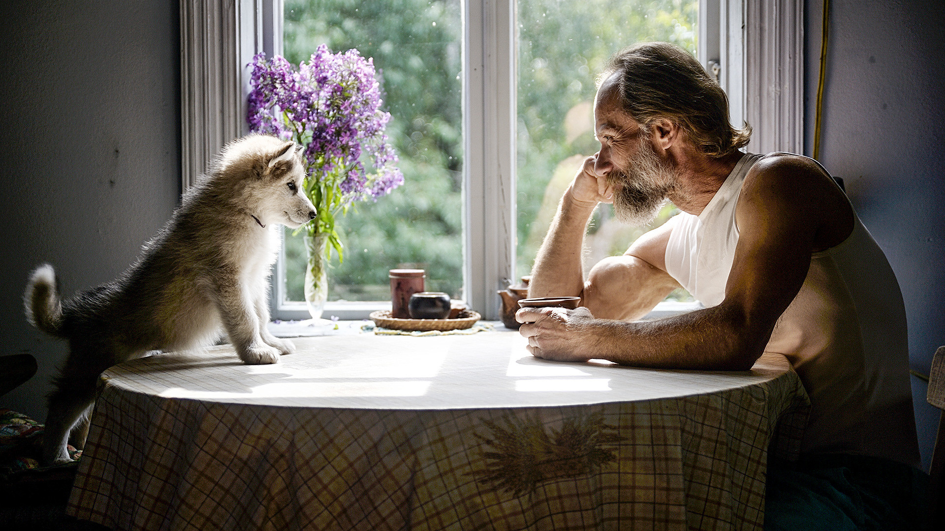 Pourquoi la meilleure datcha est-elle toujours celle des autres ...