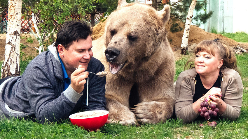 5 famous Russian bears - Russia Beyond