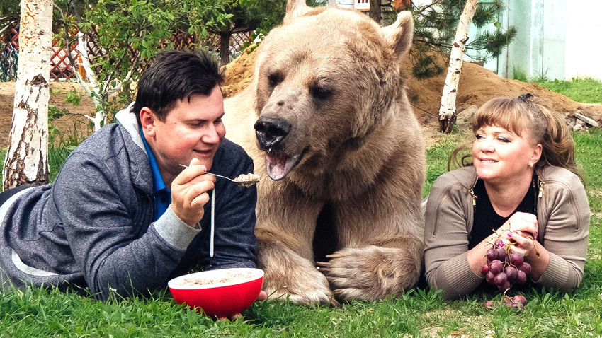 Os 5 ursos mais famosos da Rússia - Russia Beyond BR