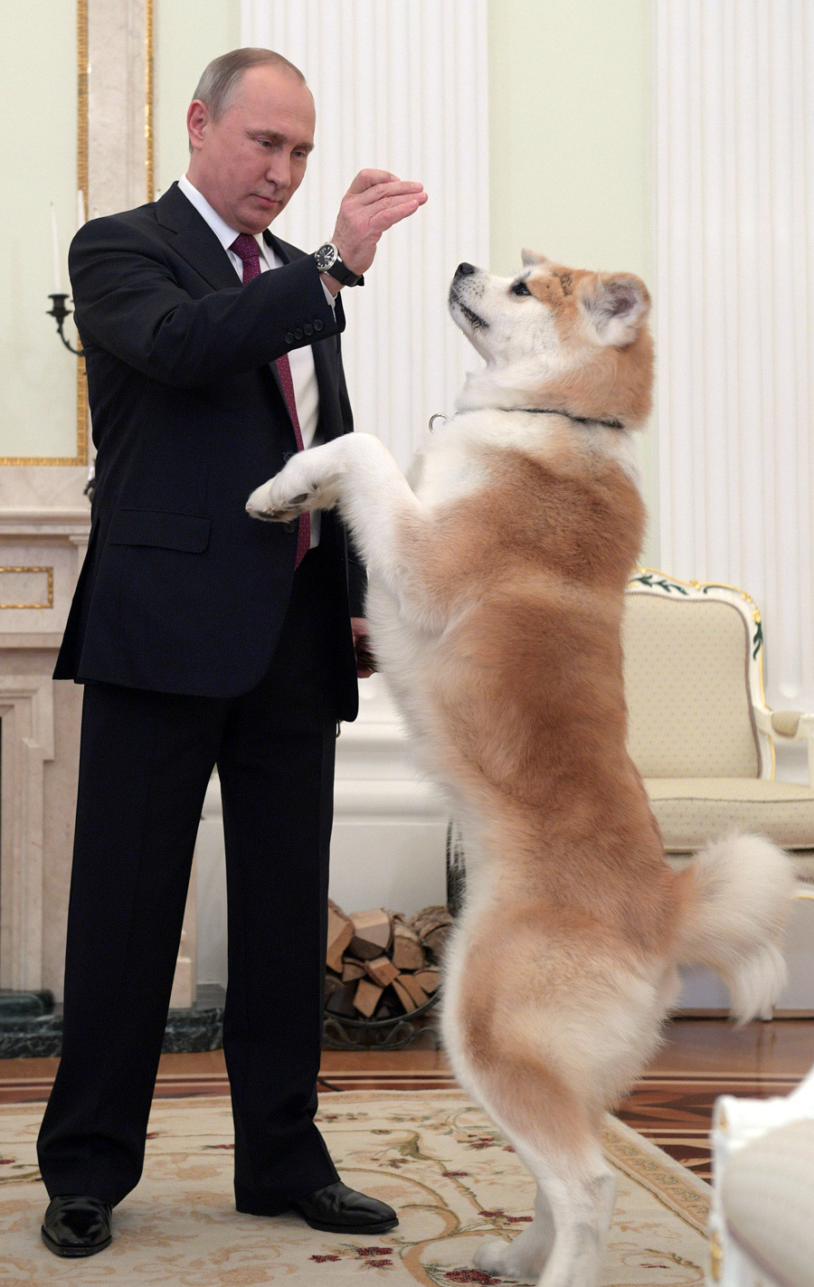 Dos Romanov a Putin, conheça os pets dos líderes russos - Russia Beyond BR