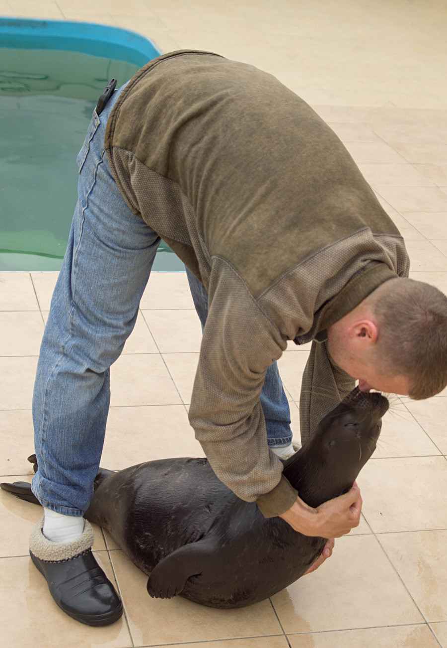 These photos of Kroshik the seal are the cutest thing you'll see today ...