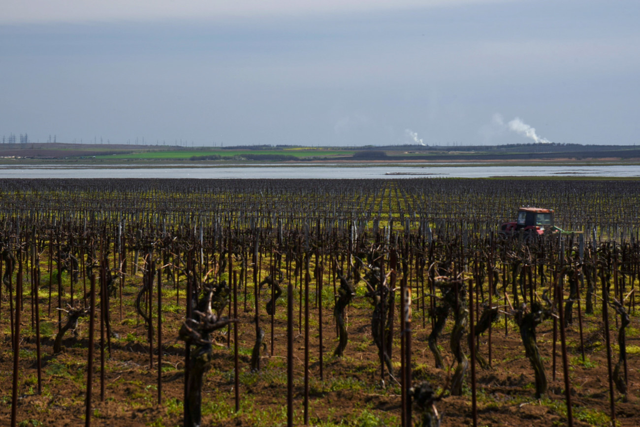 Fanagoria: aquí se produce uno de los mejores vinos de Rusia - Russia ...