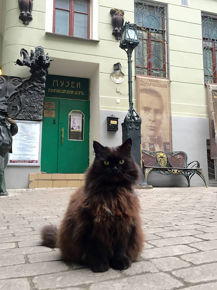 Sepuluh Kucing yang ‘Bekerja’ di Museum-Museum Rusia - Russia Beyond