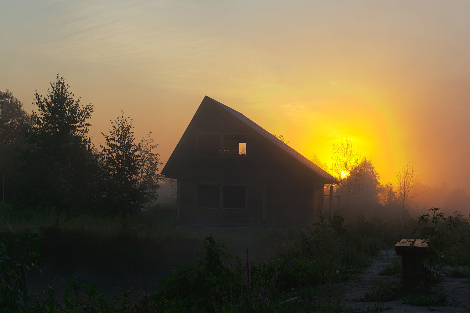 Sepuluh Tempat Terbaik untuk Menemukan Yeti di Rusia - Russia Beyond