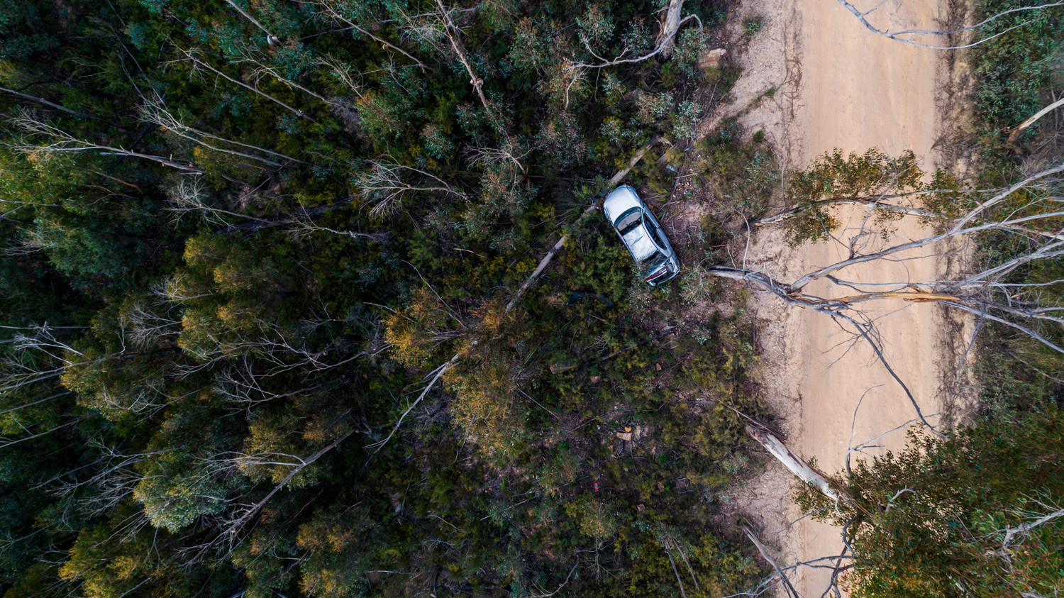 Sepuluh Tempat Terbaik untuk Menemukan Yeti di Rusia - Russia Beyond