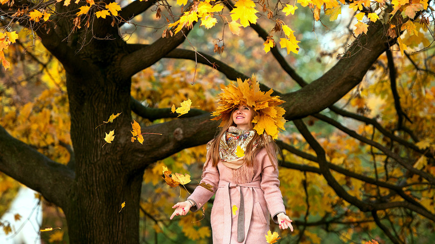 5 trees Russians can’t get enough of - Russia Beyond