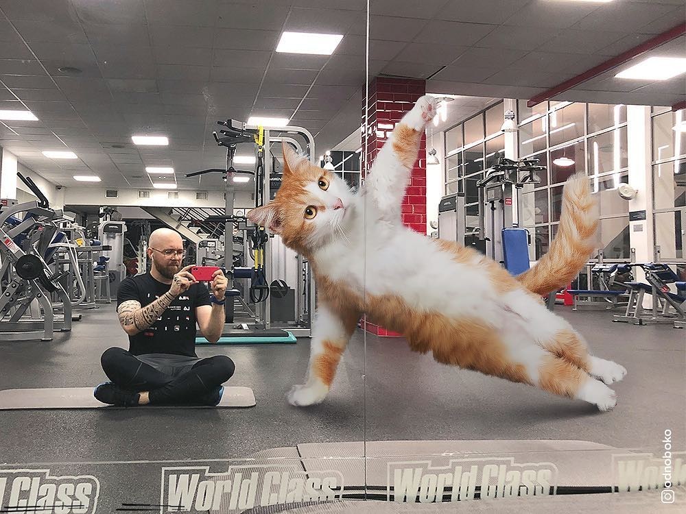 Sarat Pesan dan Makna, Seorang Pengguna Instagram Gabungkan Realitas ...