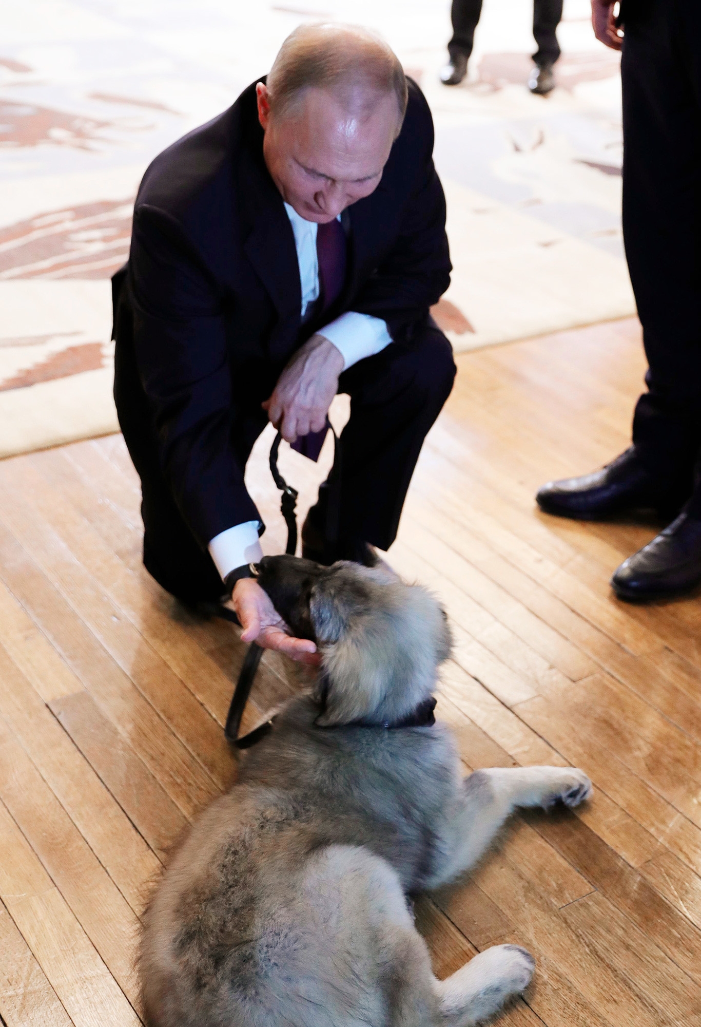 Putin gifted a dog by Serbia’s Vuchich - Russia Beyond