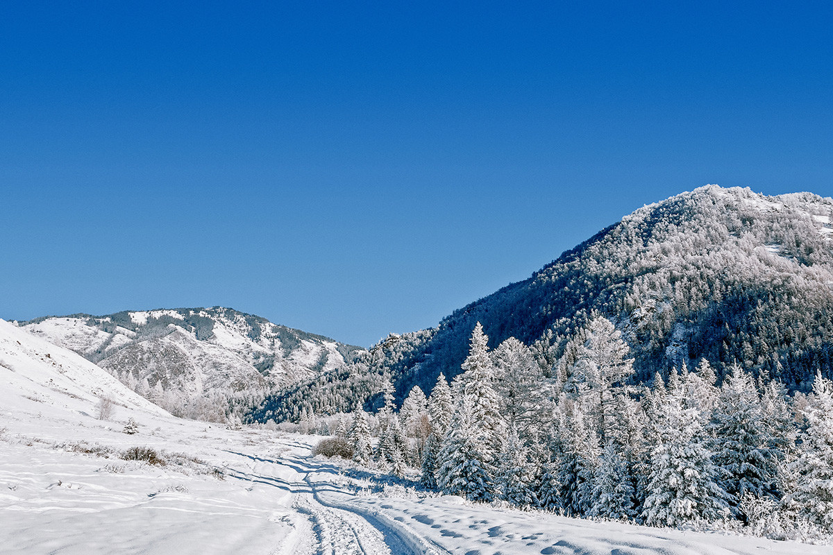 Why on earth do Russians live in Siberia?! - Russia Beyond