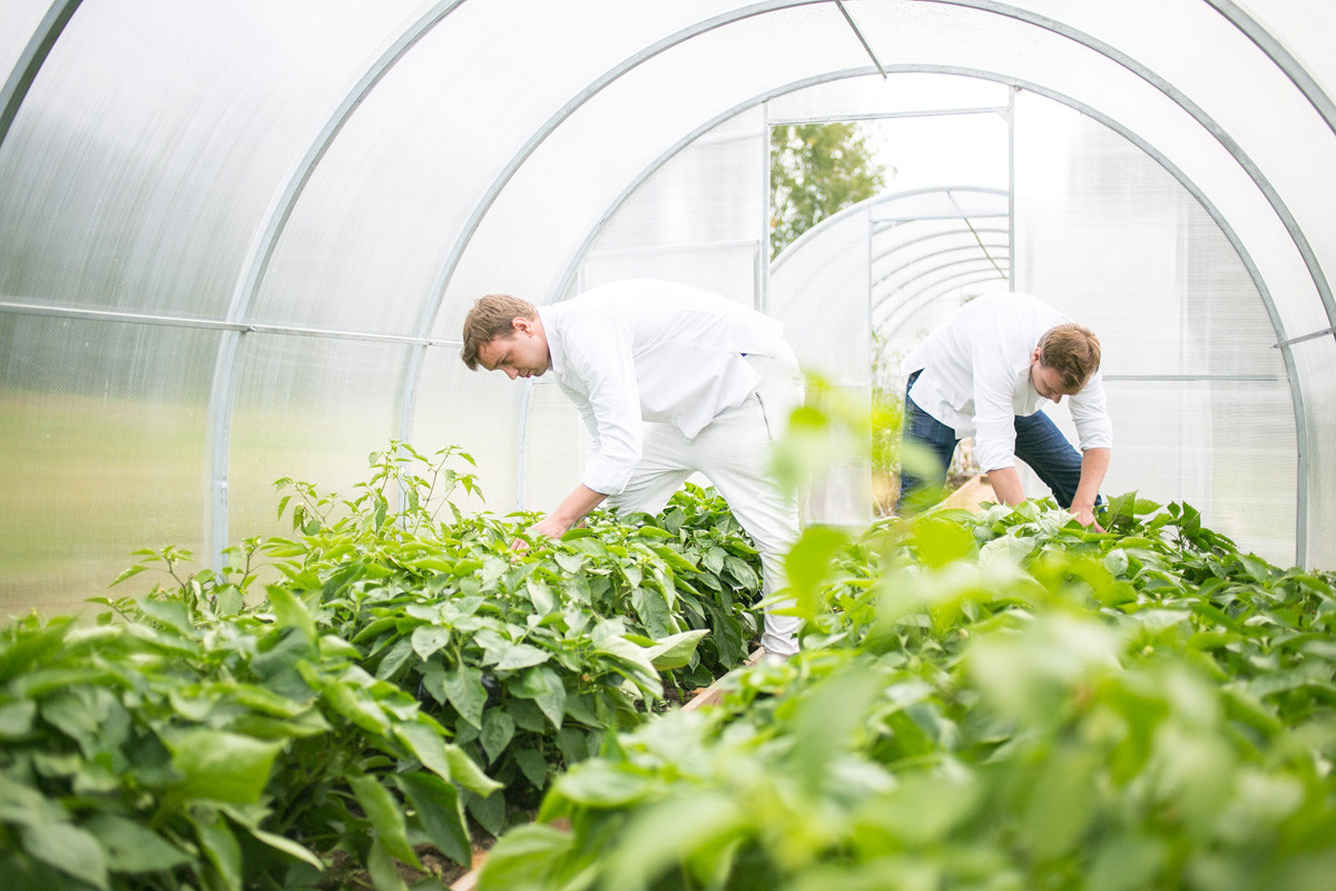 6 awesome places to visit in Kaluga & the surrounding region - Russia ...