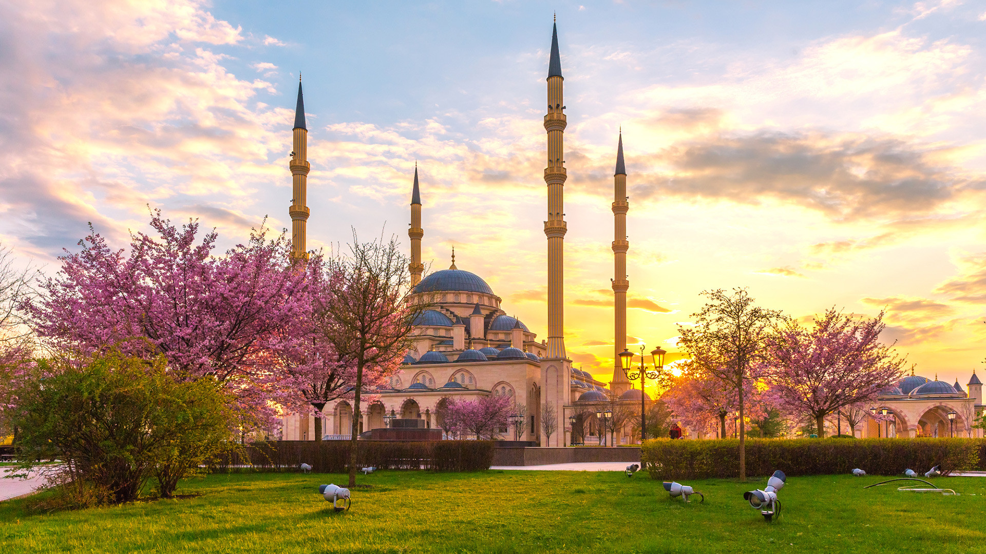 5 reasons you MUST travel to the North Caucasus - Russia Beyond