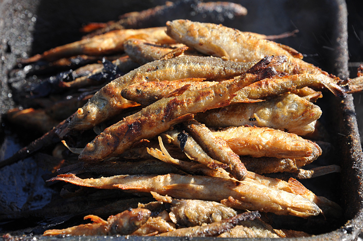 6 unexpected questions that St. Petersburg tour guides are often asked ...