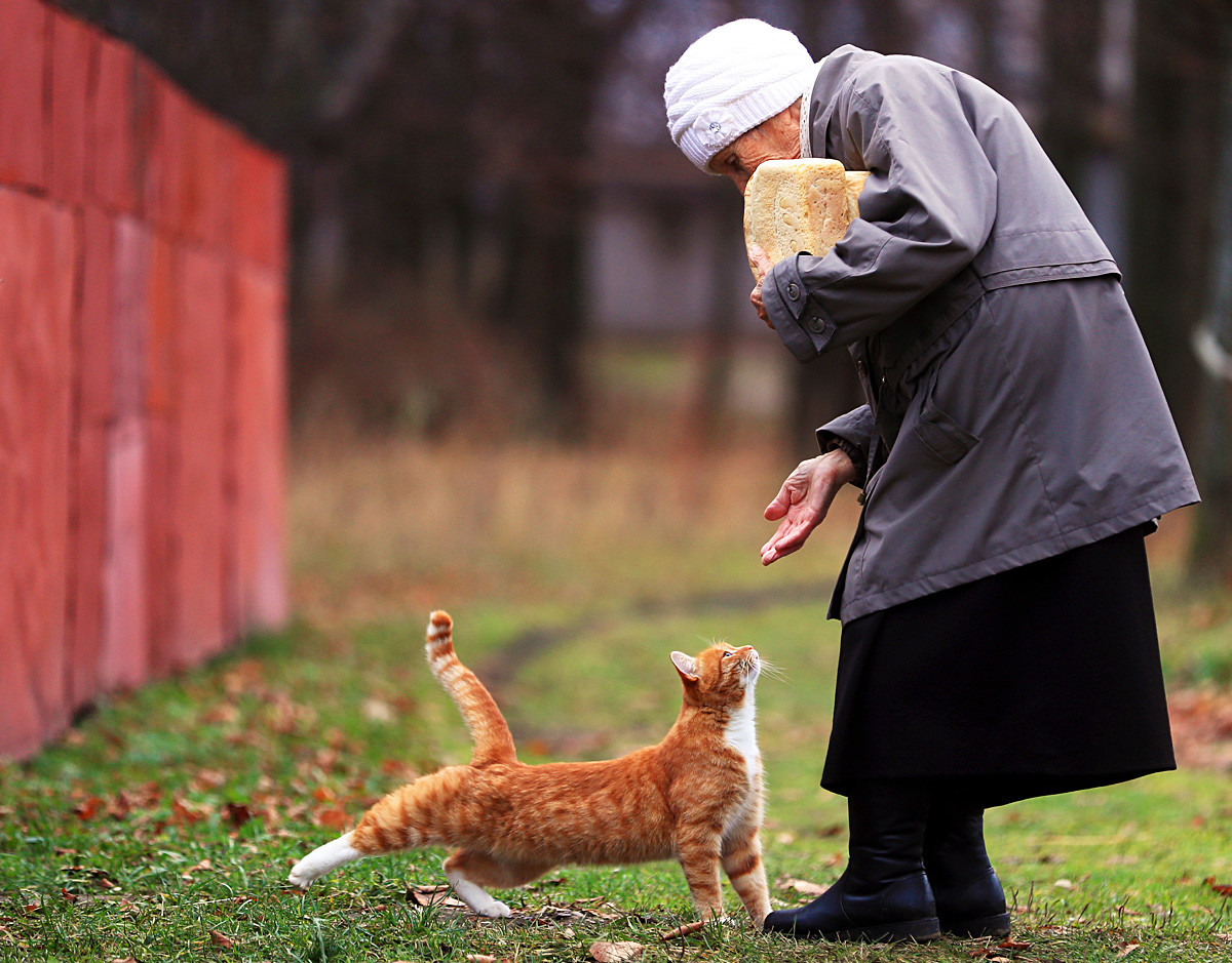 The chilled out life of Russian village cats (PHOTOS) - Russia Beyond
