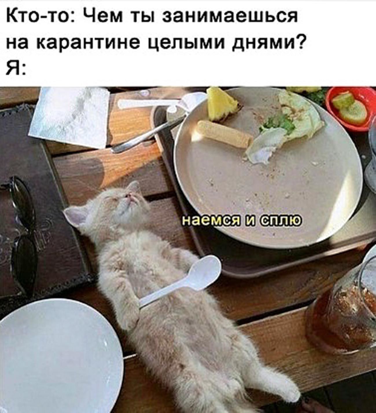 11 memes rusos muy divertidos sobre la cuarentena (Fotos) - Russia ...
