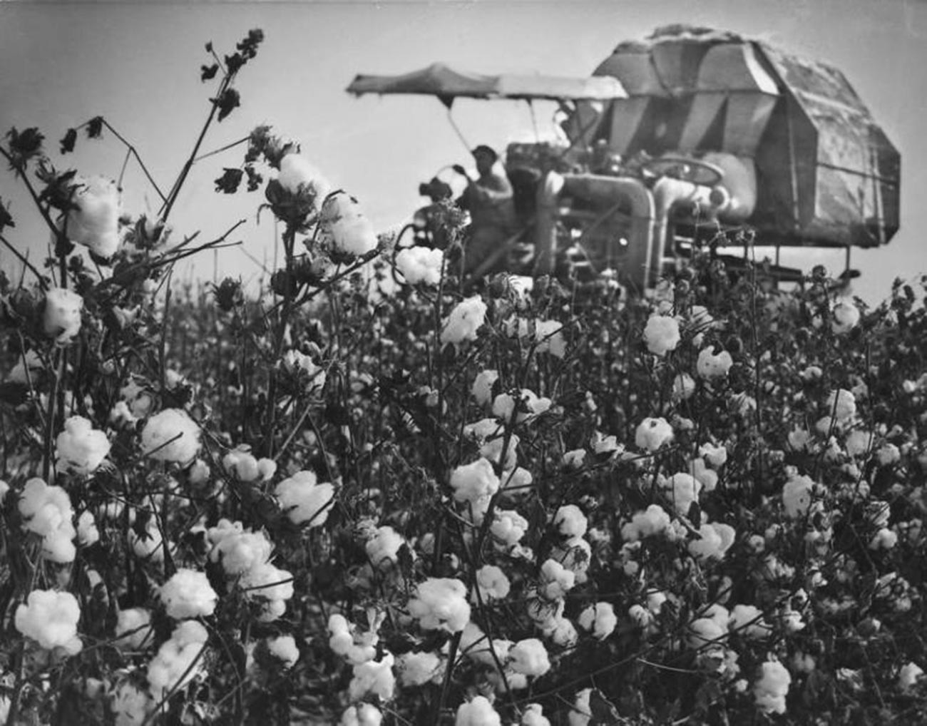 What life was like in Soviet Central Asia (PHOTOS) - Russia Beyond