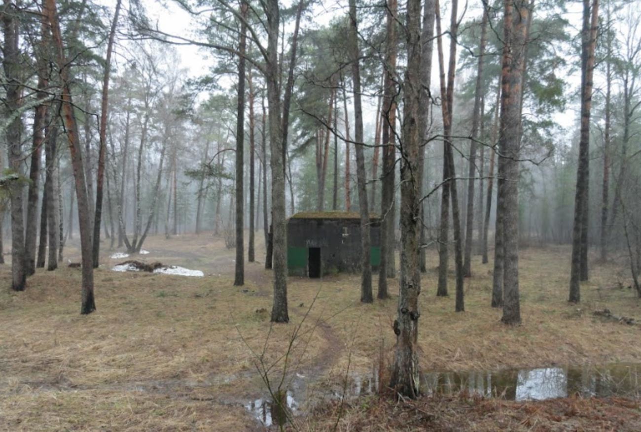 When did Adolf Hitler visit the USSR? - Russia Beyond