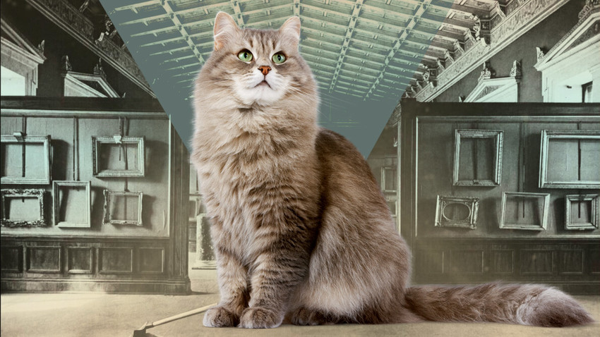 Kucing-Kucing Siberia sang Penyelamat Hermitage - Russia Beyond