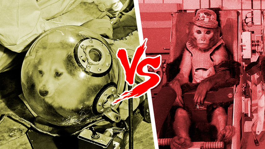 Why did the Soviets send dogs into space, and not monkeys? - Russia Beyond