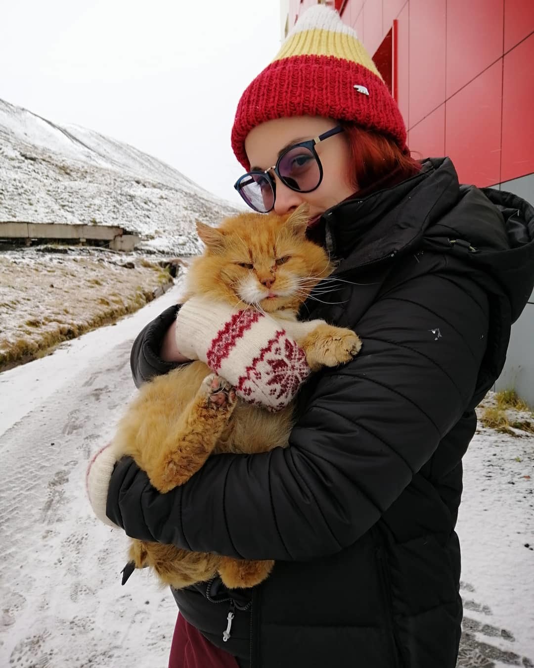 Meet Kesha, the only cat in the entire Arctic Ocean archipelago (PHOTOS ...