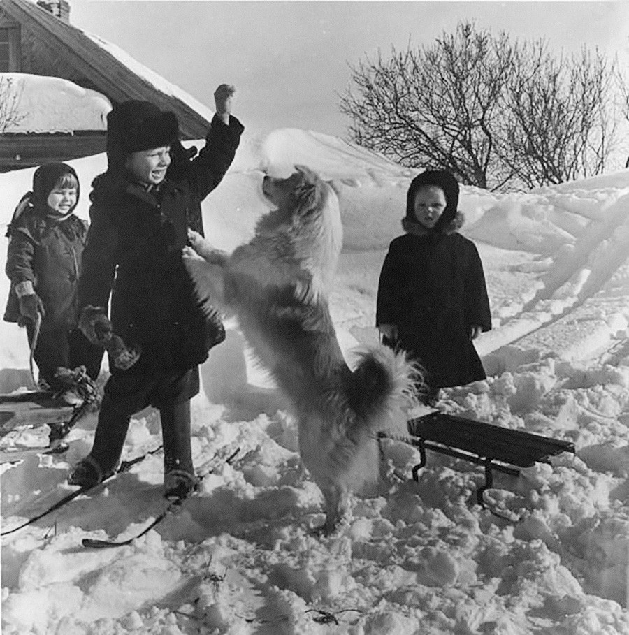 Winter through the lens of Soviet photography legends (PHOTOS) - Russia ...