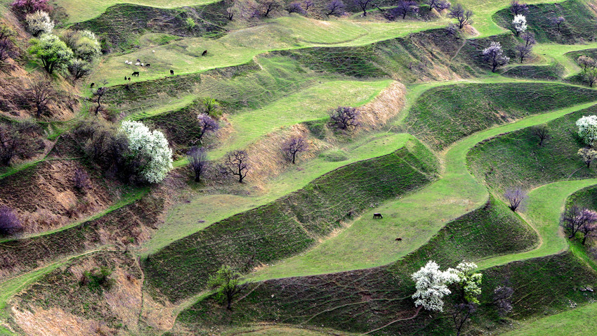 Ancient man-made terraces in the mountains of Dagestan (PHOTOS ...