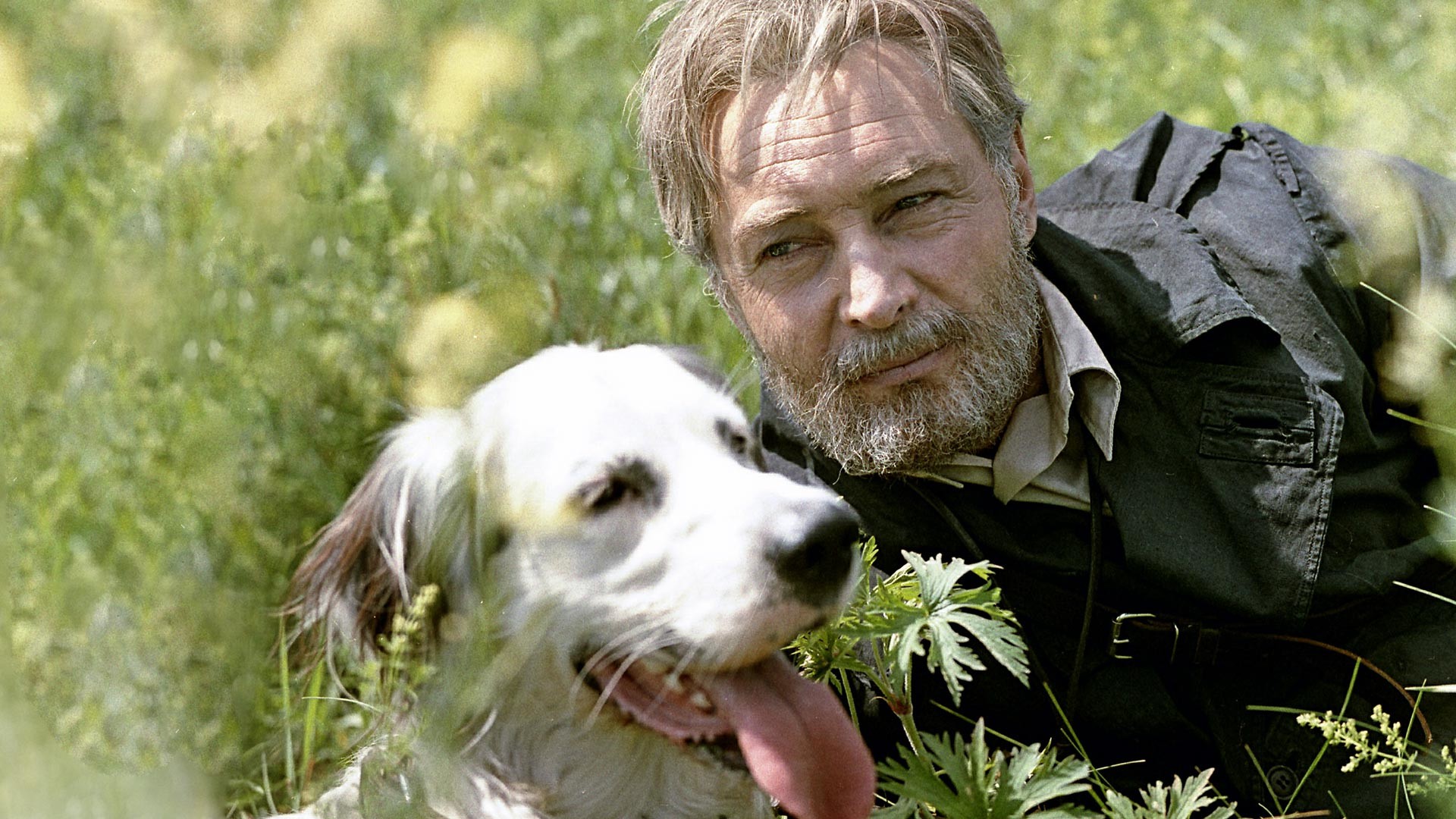 7 руски филма, които ще те разплачат - Russia Beyond България