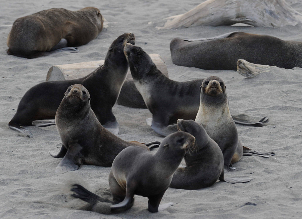 Kako živijo Aleuti, ljudstvo na koncu sveta - Russia Beyond Slovenija