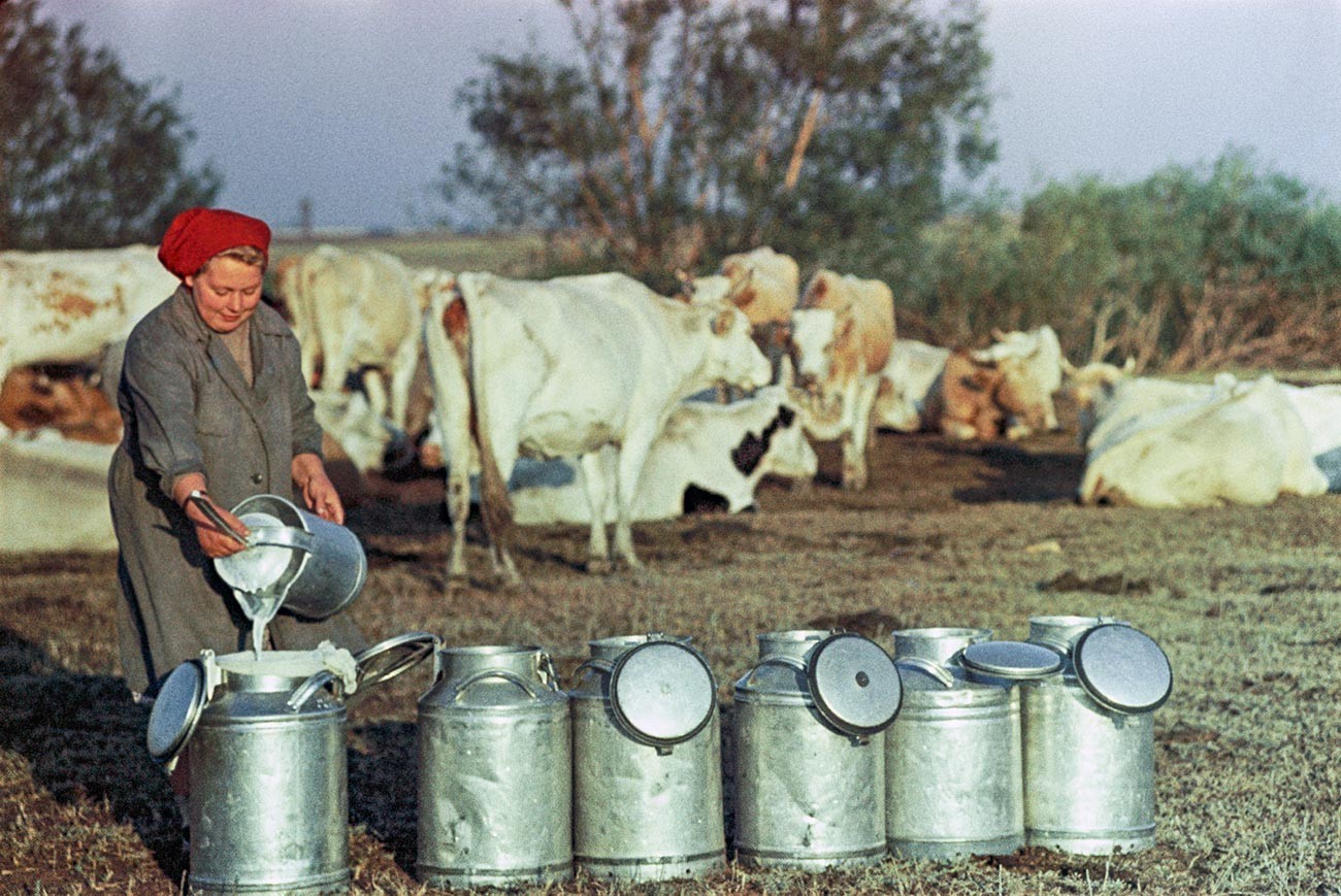 17 palavras que DEFINIRAM a União Soviética - Russia Beyond BR