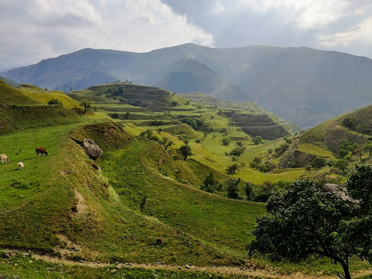 Terasering Buatan Berusia Ribuan Tahun di Pegunungan Dagestan (FOTO ...