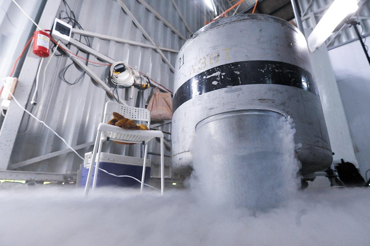 Co-founders of a Russian cryo farm battle over frozen bodies... wait ...