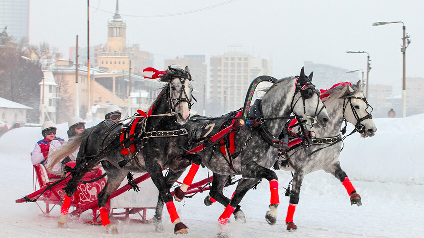 Top 5 Russian horse racetracks steeped in tradition (PHOTOS) - Russia ...