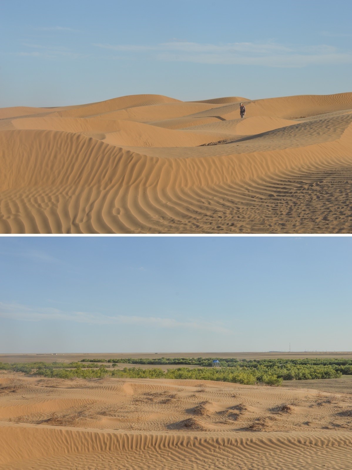 Kalmukia, donde el desierto ruso se une al budismo (FOTOS) - Russia ...