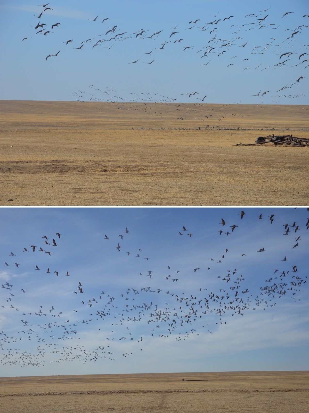 Kalmukia, donde el desierto ruso se une al budismo (FOTOS) - Russia ...