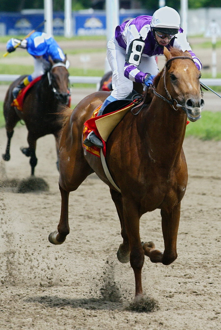 Top 5 Russian horse racetracks steeped in tradition (PHOTOS) - Russia ...