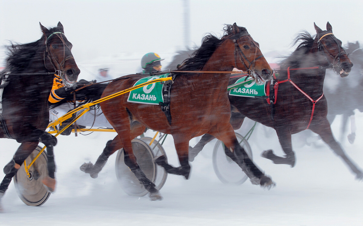 Top 5 Russian horse racetracks steeped in tradition (PHOTOS) - Russia ...