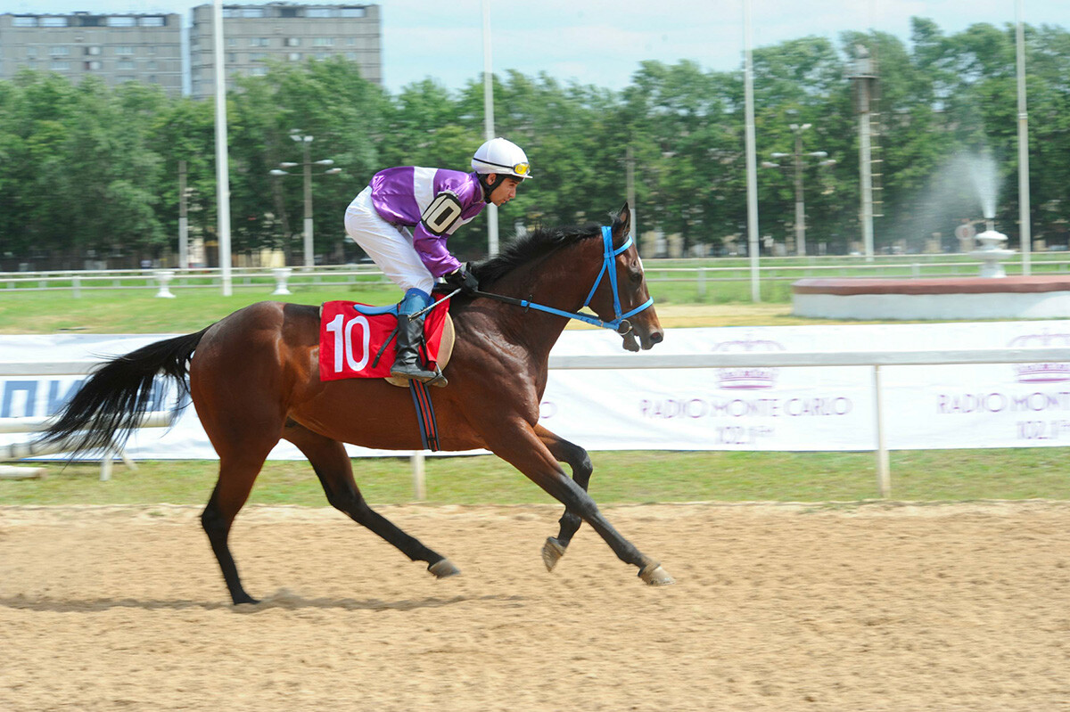 Top 5 Russian horse racetracks steeped in tradition (PHOTOS) - Russia ...